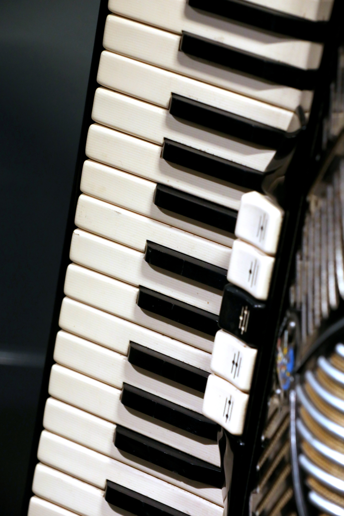 La fisarmonica – Museo della Fisarmonica